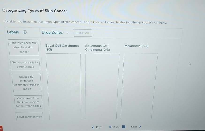 Solved Categorizing Types of Skin CancerConsider the three | Chegg.com Solved Categorizing Types of Skin CancerConsider the three | Chegg.com