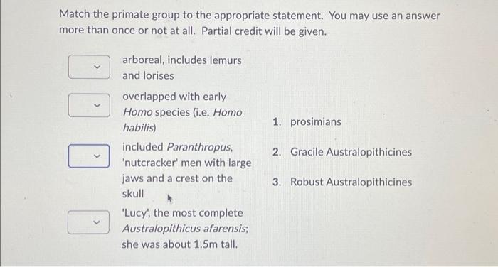 Solved Match the primate group to the appropriate statement. | Chegg.com