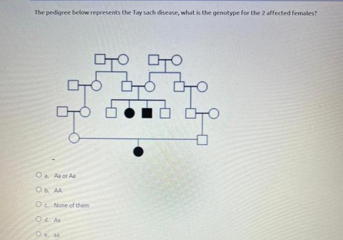 Solved The pedigree below represents the Tay sach disease, | Chegg.com