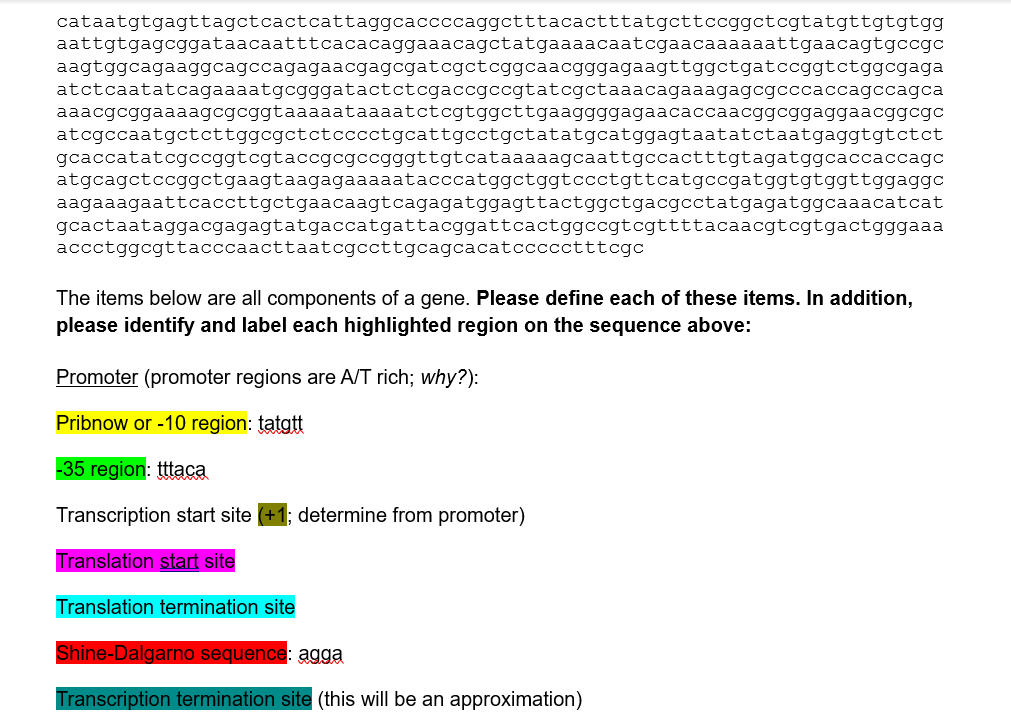 Solved Below is a single strand of DNA taken from a | Chegg.com
