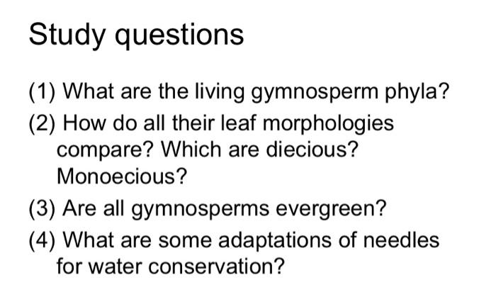 Solved Study questions (1) What are the living gymnosperm | Chegg.com