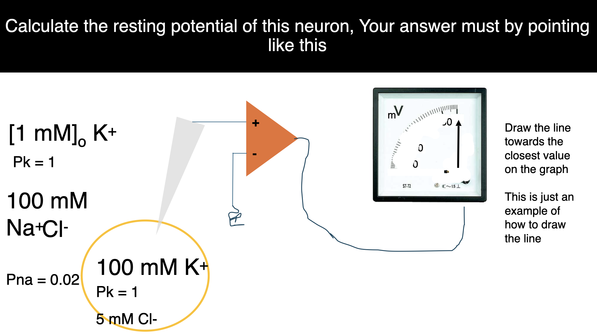 Solved In this exercise you will: Calculate the resting | Chegg.com