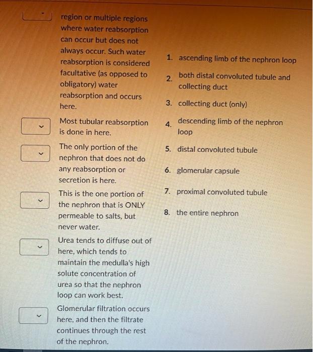 Solved These questions are all about urine formation. Urine | Chegg.com