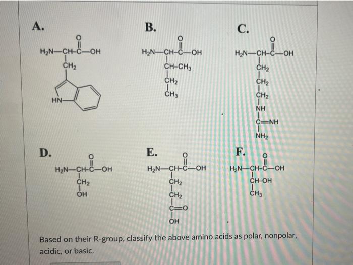 Solved Based on their R-group, classify the above amino | Chegg.com