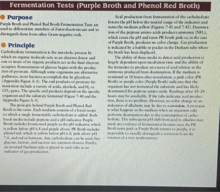Solved Fermentation Tests (Purple Broth and Phenol Red | Chegg.com
