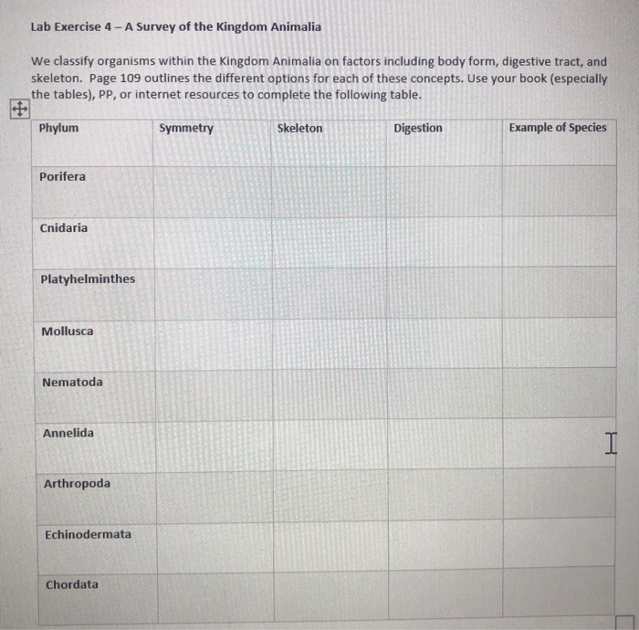 Solved Lab Exercise 4 - A Survey of the Kingdom Animalia We | Chegg.com