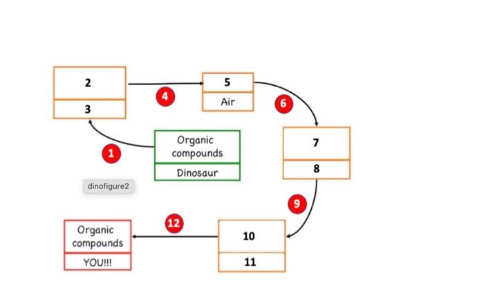 Solved Dinosaur Carbon Cycling This is to reinforce you | Chegg.com