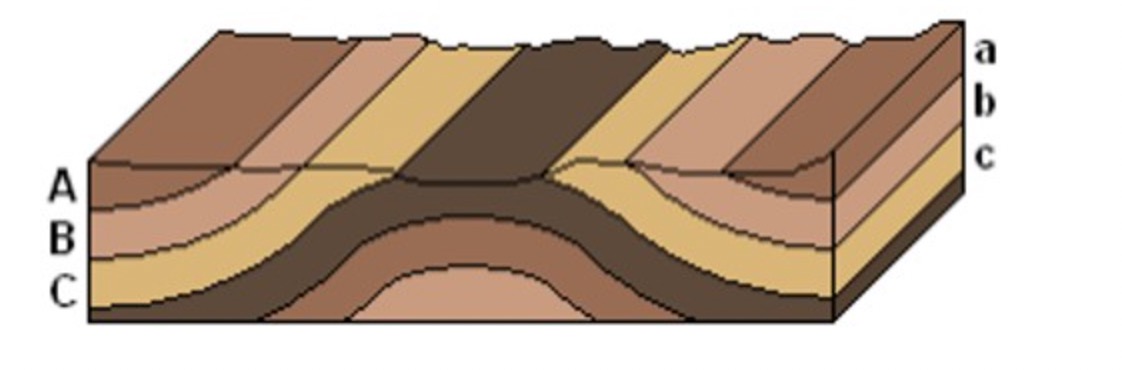 Use the principles of relative dating to complete the | Chegg.com