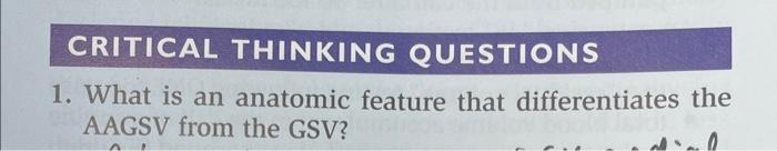 Solved CRITICAL THINKING QUESTIONS 1. What is an anatomic | Chegg.com