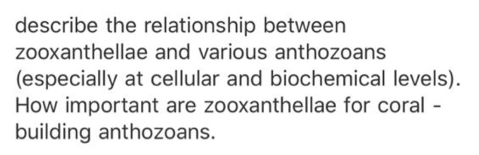 Solved describe the relationship between zooxanthellae and | Chegg.com