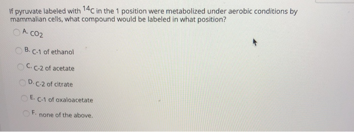 Solved If pyruvate labeled with 14C in the 1 position were | Chegg.com