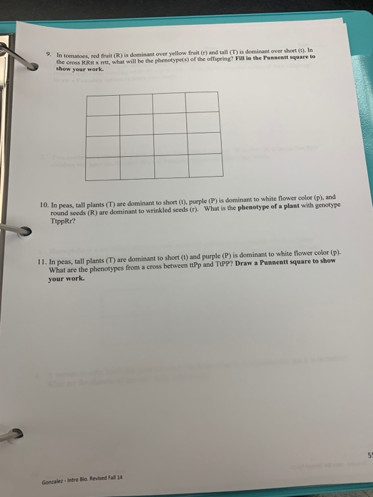 Solved Genetics Problem Set 1 Date Name Complete This Chegg
