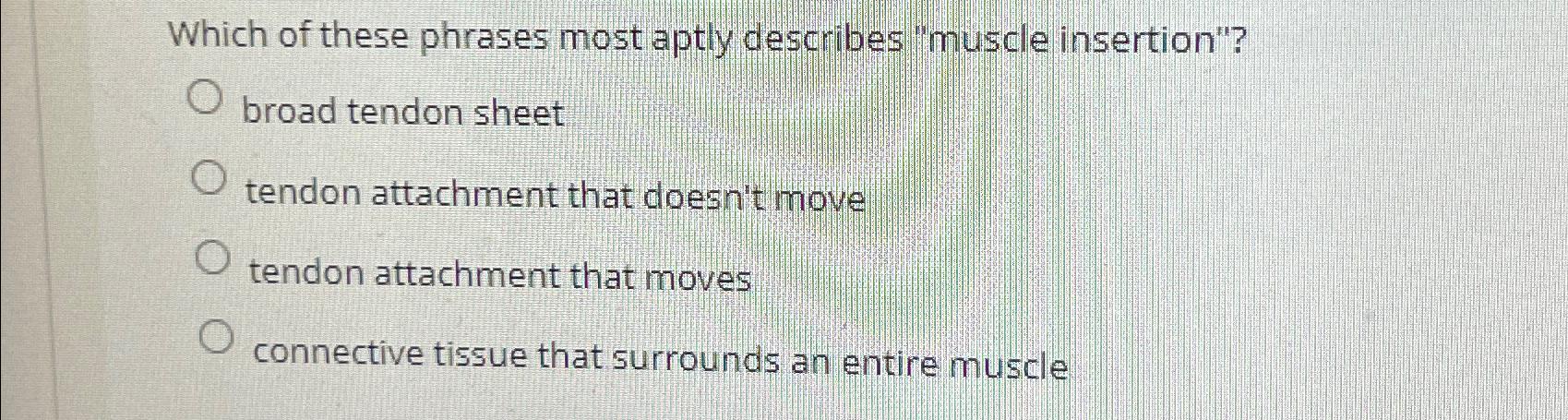Solved Which of these phrases most aptly describes "muscle | Chegg.com