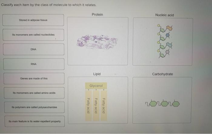 Solved Classify each item by the class of molecule to which | Chegg.com