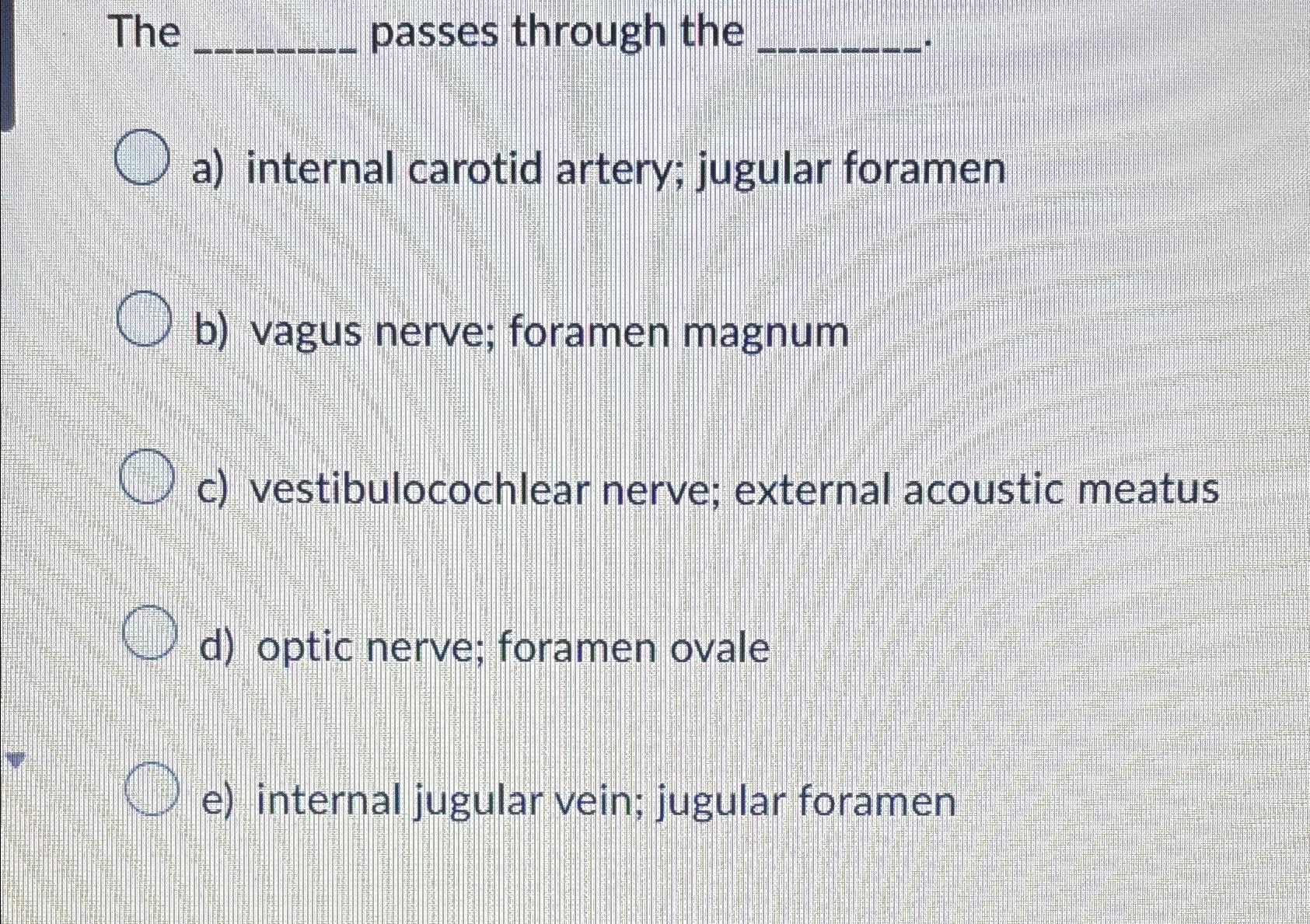 Solved The passes through thea) ﻿internal carotid artery; | Chegg.com