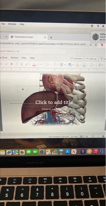 marks Profiles Tab Window Help Point | Microsoft 365 | Chegg.com