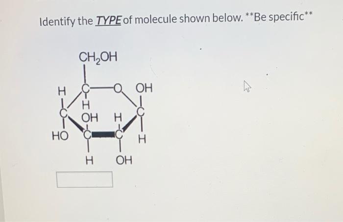 Solved Identify the TYPE of molecule shown below. **Be | Chegg.com
