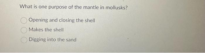 What Is One Purpose Of The Mantle In Mollusks