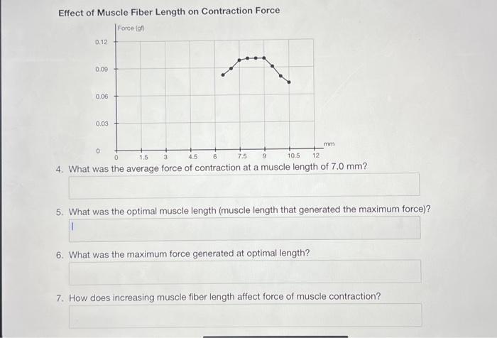 Solved Effect of Muscle Fiber Length on Contraction Force 4 | Chegg.com