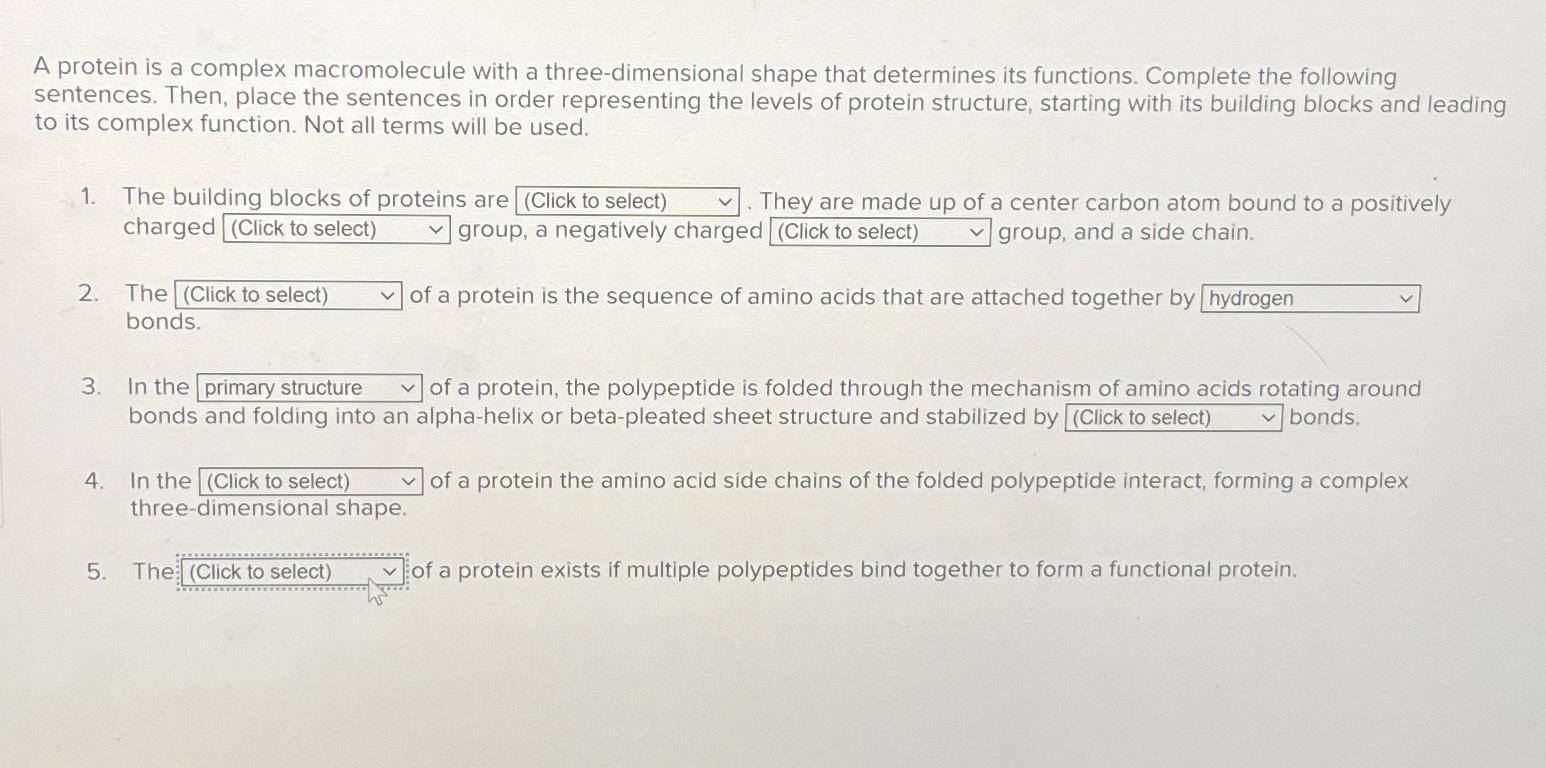Solved A protein is a complex macromolecule with a | Chegg.com