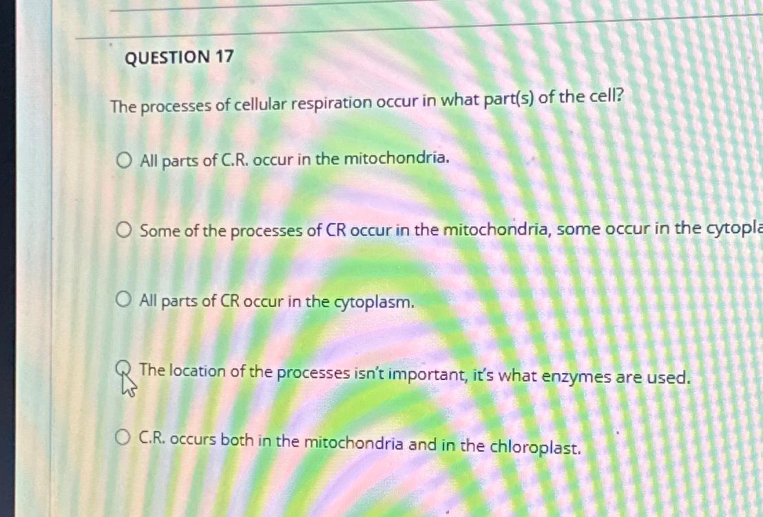Solved QUESTION 17The processes of cellular respiration | Chegg.com