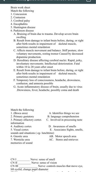Solved Brain work sheet Match the following 1. Concussion 2. | Chegg.com