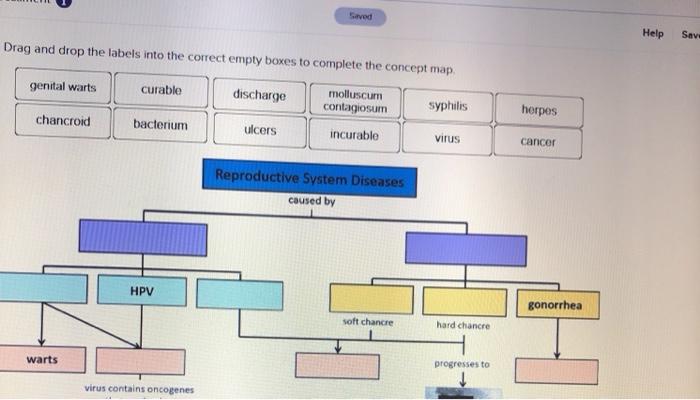 Solved Seved Help Save Drag and drop the labels into the | Chegg.com
