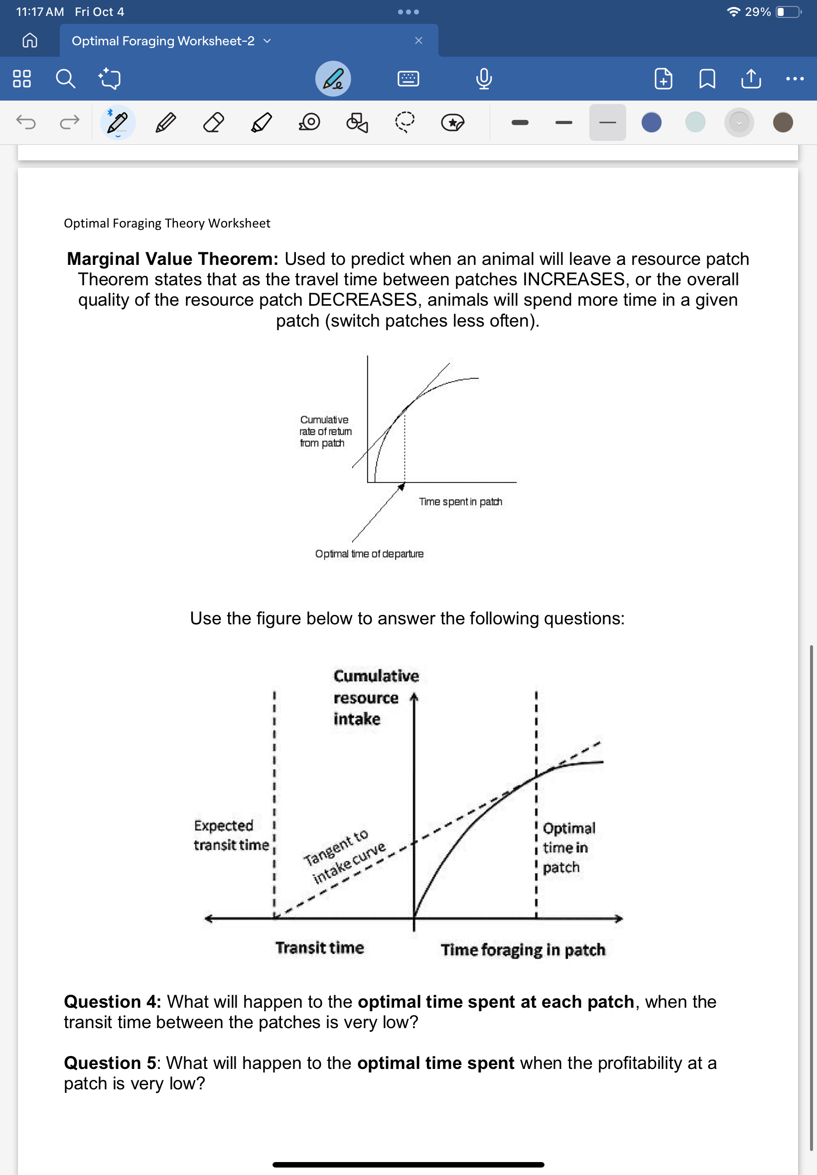 Solved Optimal Foraging Theory WorksheetMarginal Value | Chegg.com