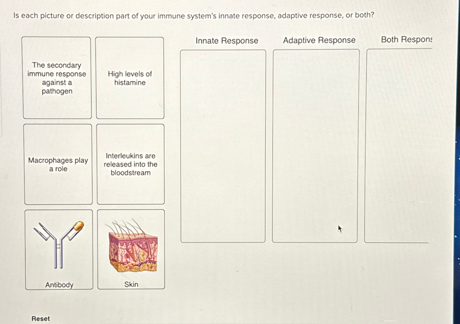 Solved Is each picture or description part of your immune | Chegg.com