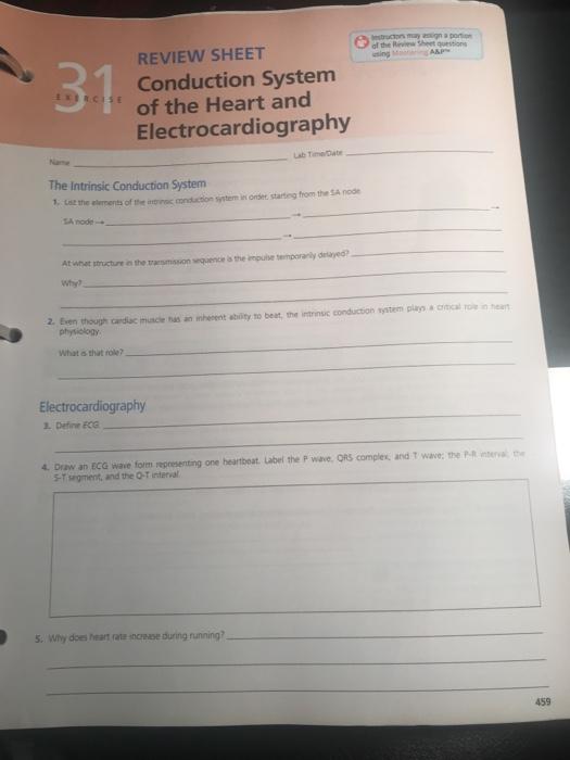 Solved of the heart sing 31. REVIEW SHEET Conduction System | Chegg.com