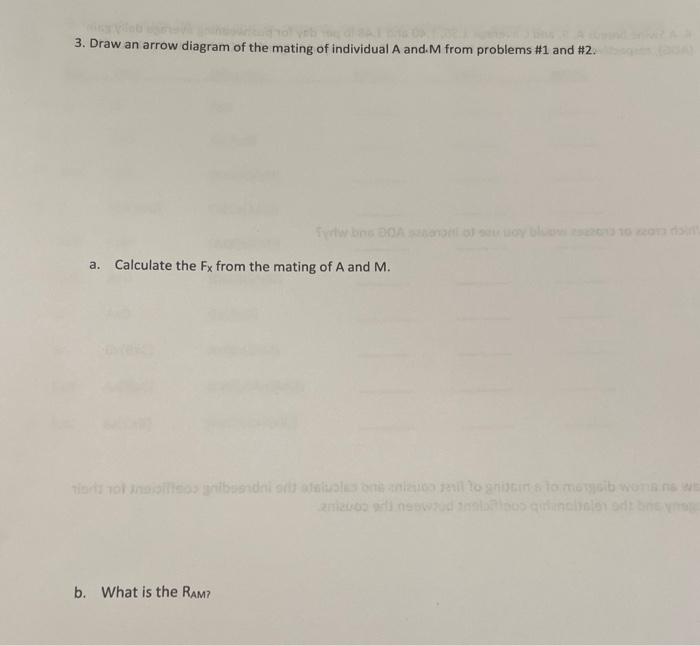 Solved Draw an arrow diagram of the mating of individual A | Chegg.com