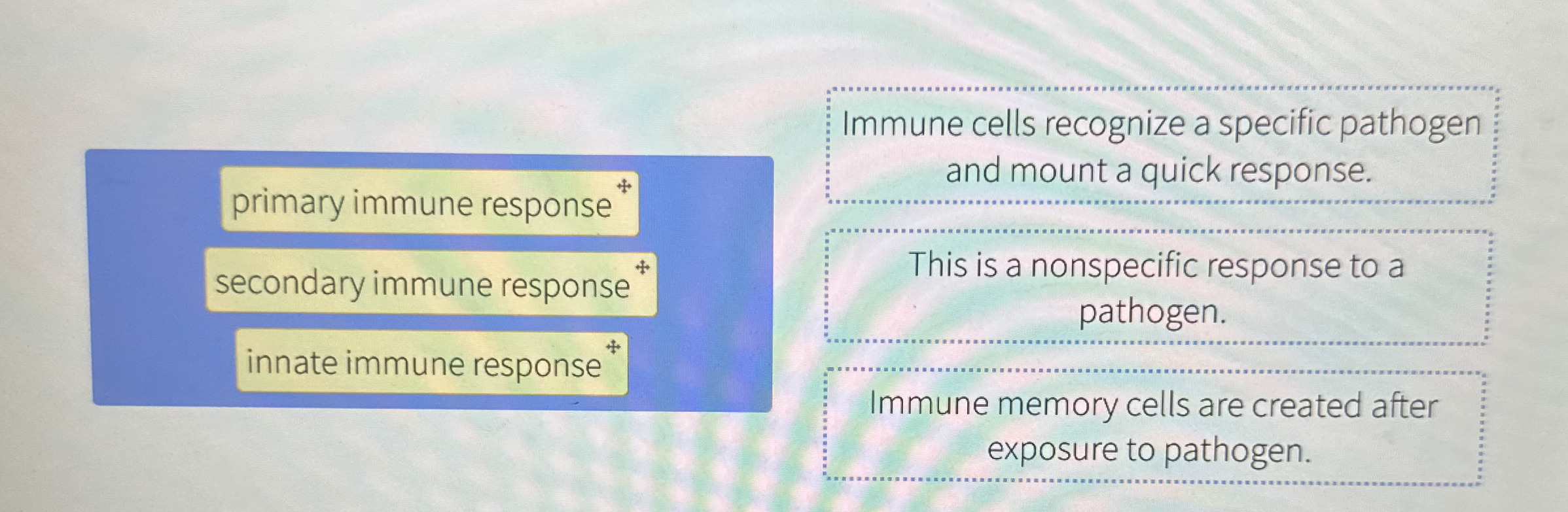 Solved primary immune response ?+secondary immune response | Chegg.com Solved primary immune response ?+secondary immune response | Chegg.com