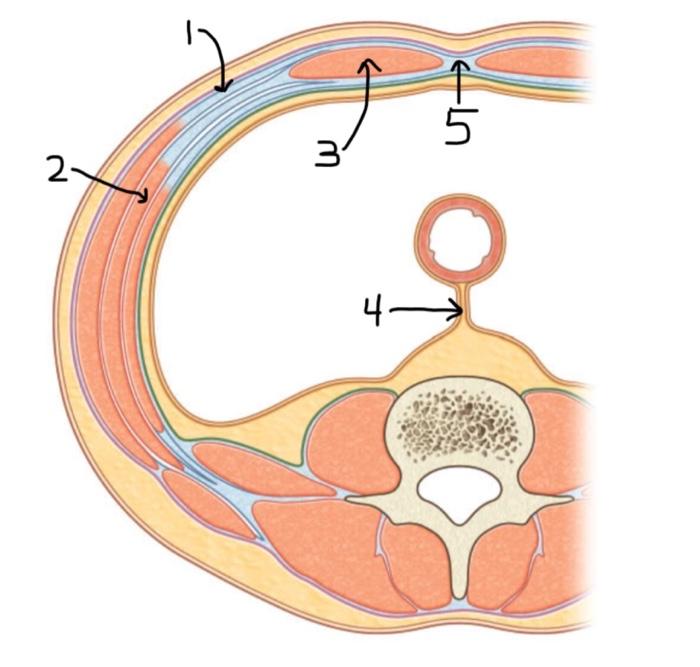 Solved part a part b plz label both parts will upvote | Chegg.com