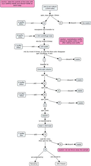 Solved A buffer B buffer [Choose] Zyppy Elution buffer | Chegg.com