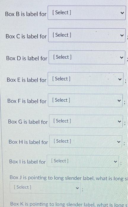 Solved Box B is label for Box C is label for Box D is label | Chegg.com