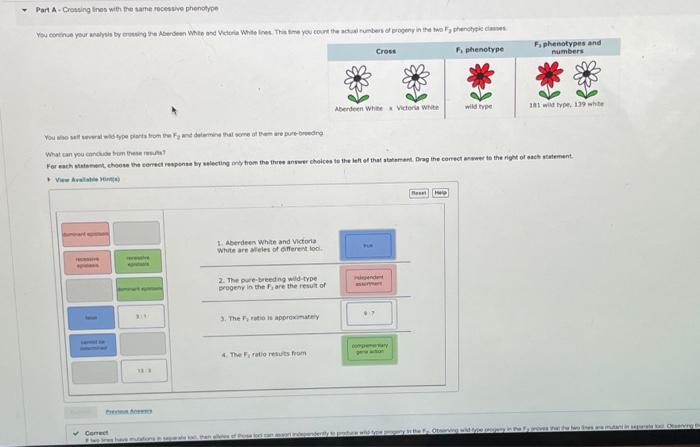 Solved coene interaction kas (c) 0 dis Oent | Chegg.com