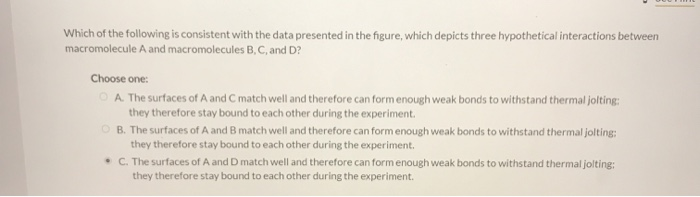 Solved Consider the image that depicts the binding | Chegg.com
