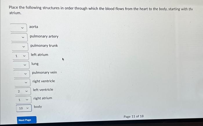 Solved Place the following structures in order through which | Chegg.com