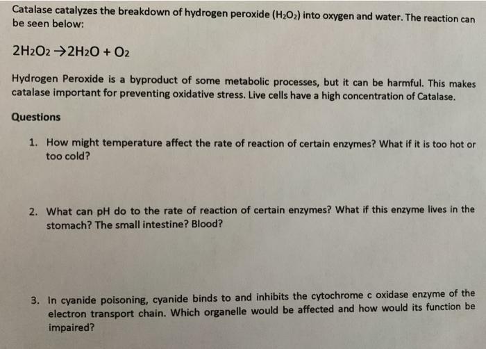 Solved Catalase catalyzes the breakdown of hydrogen peroxide | Chegg.com