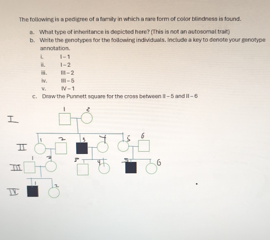Solved please answer and explain The following is a pedigree | Chegg.com