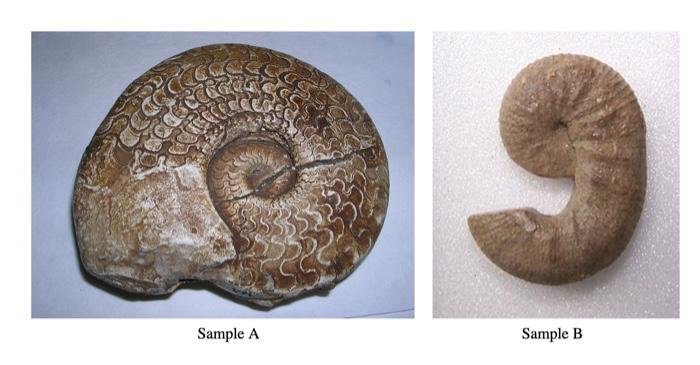 Solved Scotland (photograph by Jaime Barnes) 5. Draw a line | Chegg.com