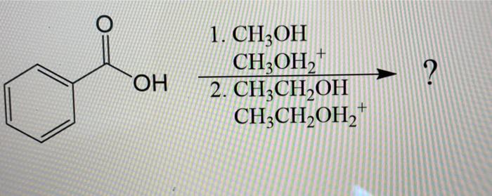 Solved + 1. CH3OH CH3OH2 2. CH3CH2OH CH3CH2OH2+ ? OH | Chegg.com