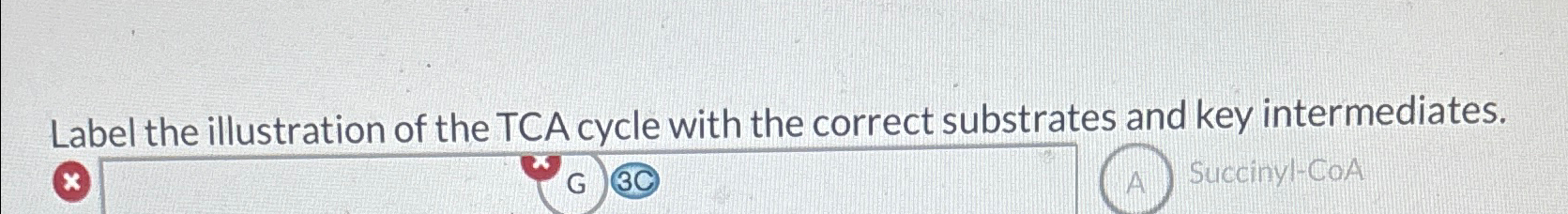 Label the illustration of the TCA cycle with the | Chegg.com