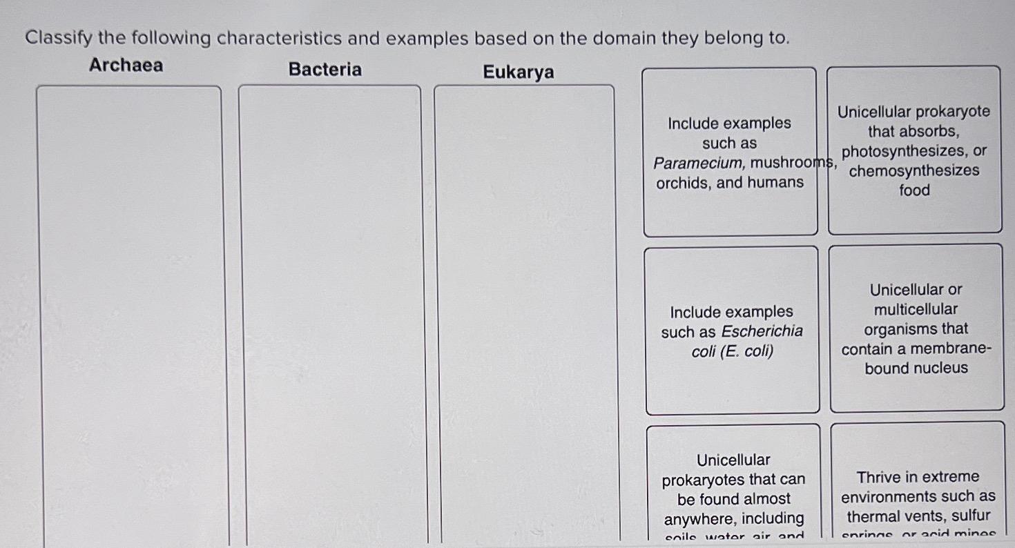 Solved Classify the following characteristics and examples | Chegg.com