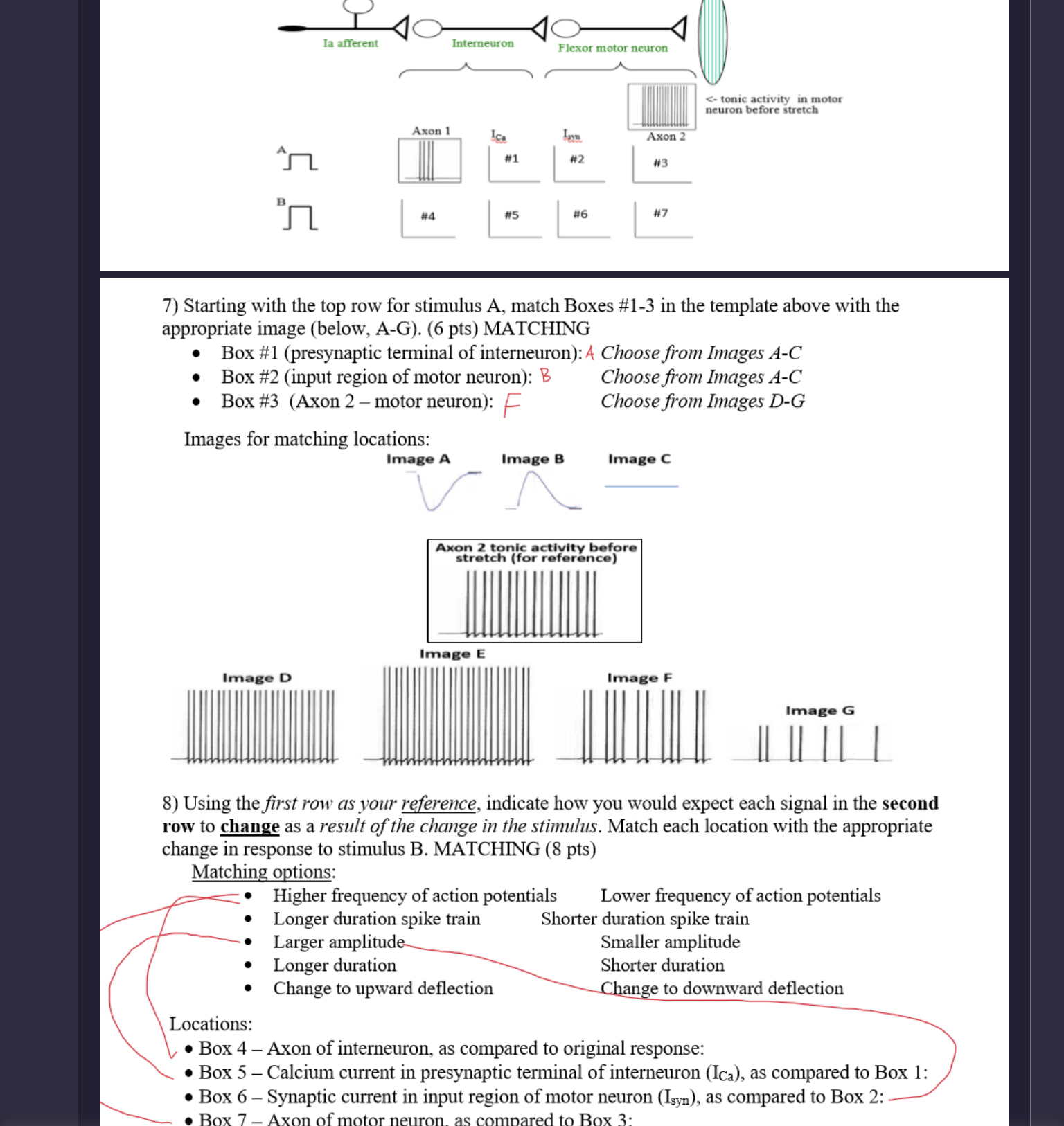 Solved Starting with the top row for stimulus A, ﻿match | Chegg.com