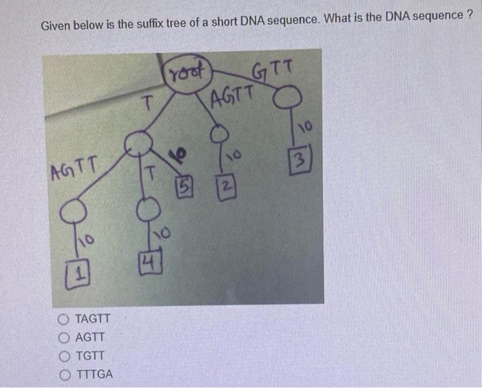 Solved Given below is the suffix tree of a short DNA | Chegg.com