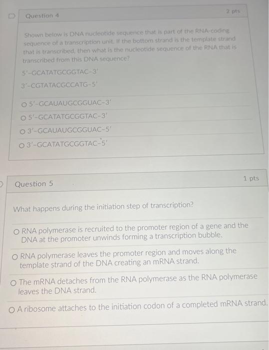 Solved Shown below is DNA nucleotide sequence that is part | Chegg.com