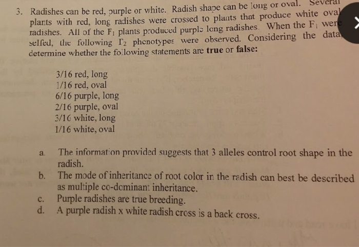 Solved 3. Radishes can be red, purple or white. Radish shape | Chegg.com
