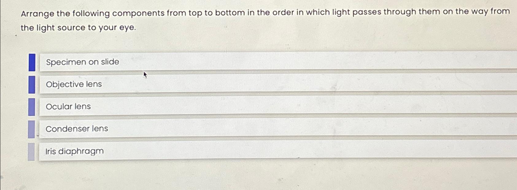 Solved Arrange the following components from top to bottom | Chegg.com