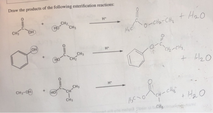 Solved Draw the products of the following esterification | Chegg.com
